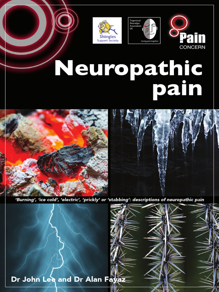 Neuropathic Pain v.2 | PDF | Peripheral Neuropathy | Analgesic