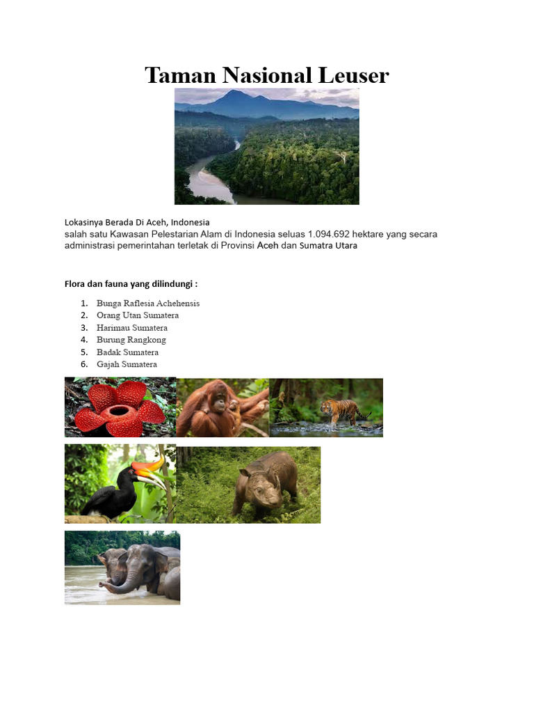 Taman Nasional Leuser | PDF
