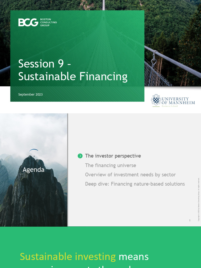 Lecture 9 - Sustainable Financing | PDF
