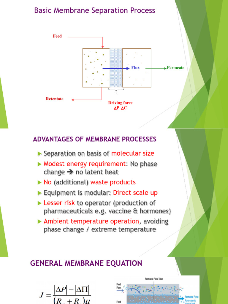 Revision Note | PDF