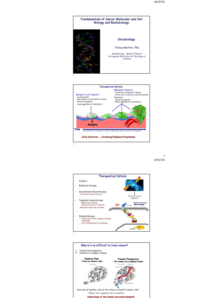 Aula 7 FBMCCR 2324 | PDF | Cell Cycle | Carcinogenesis