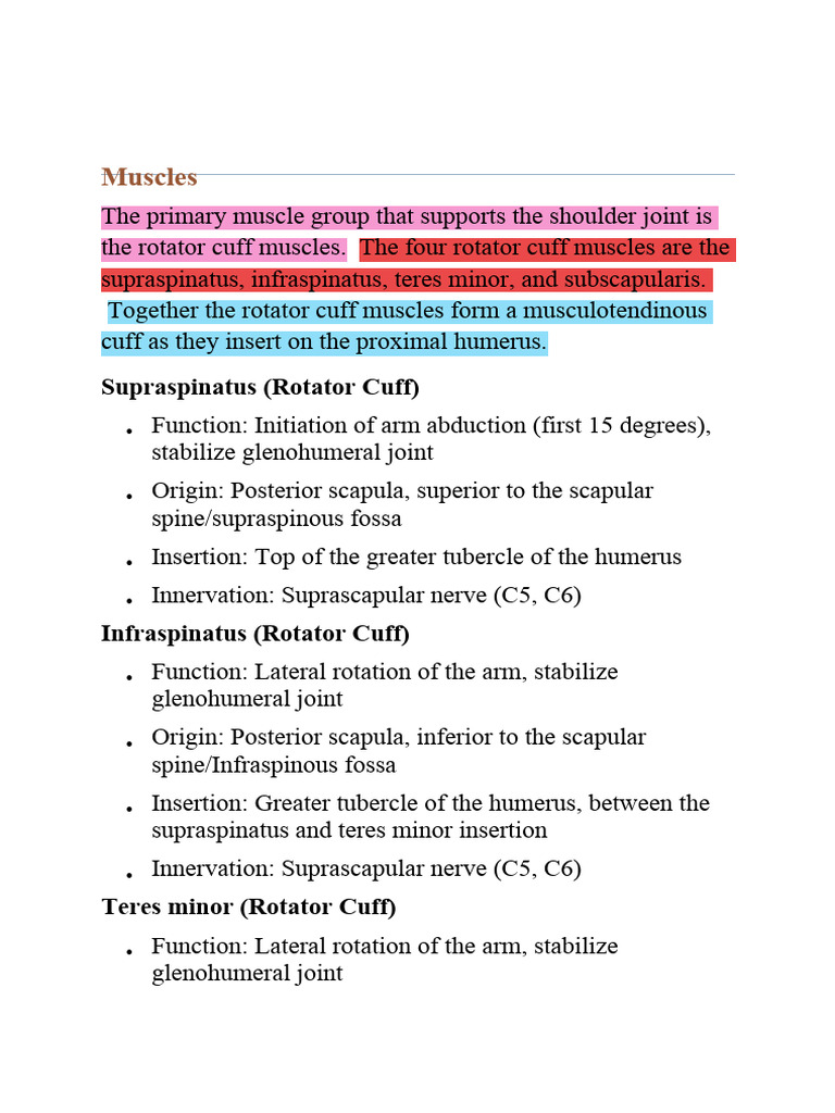 Rotator Cuff | PDF | Arm | Shoulder