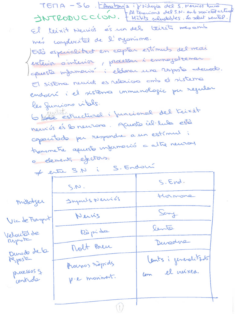 Tema 56 - Sistema Nerviós Part - 1 | PDF