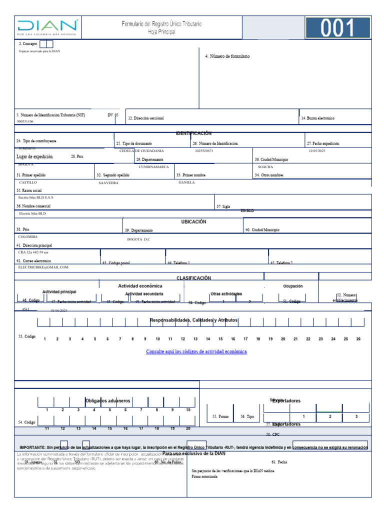 Rut Editable para Envio A La Dian 2 | PDF