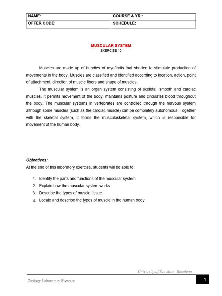 LabEx10 - The Muscular System | PDF | Anatomical Terms Of Motion | Skeletal Muscle