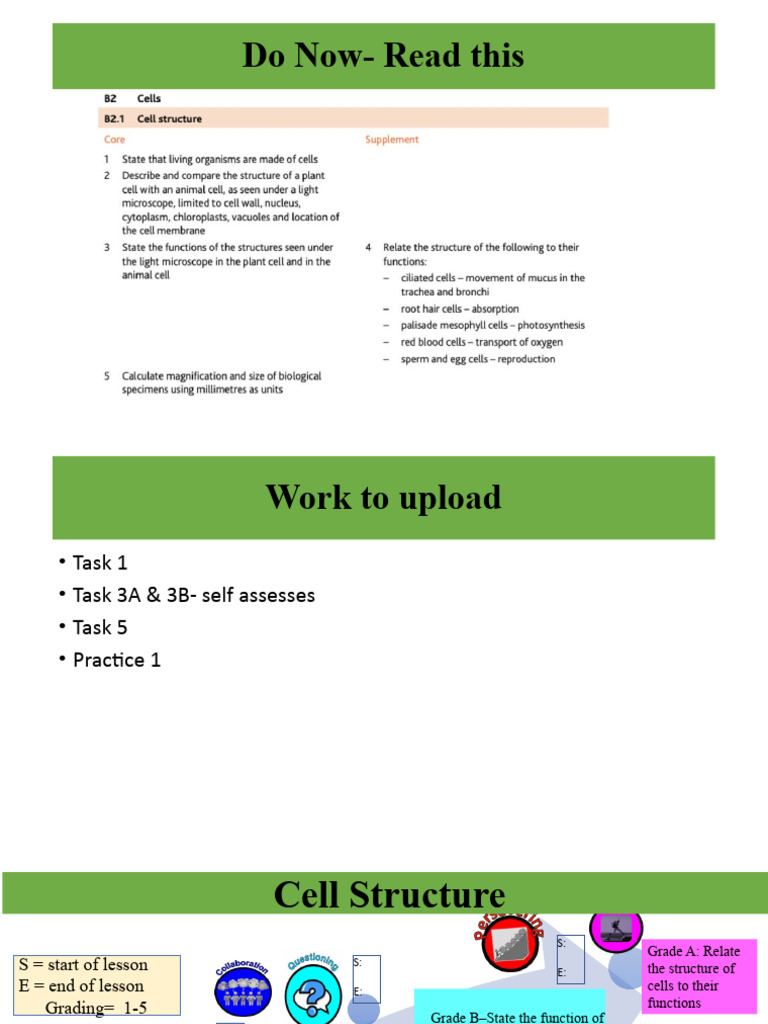 Cell Structure Bobby | PDF | Learning | Cognition