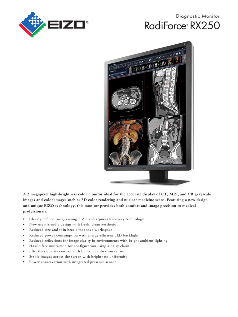 Bro en RadiForce RX250 160202D | PDF | Computer Monitor | Pixel