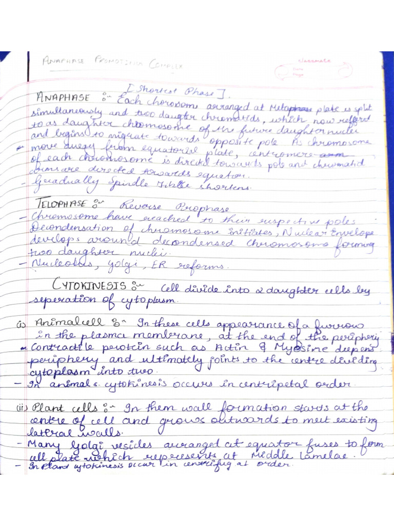 Biology Cell Cycle Notes. | PDF
