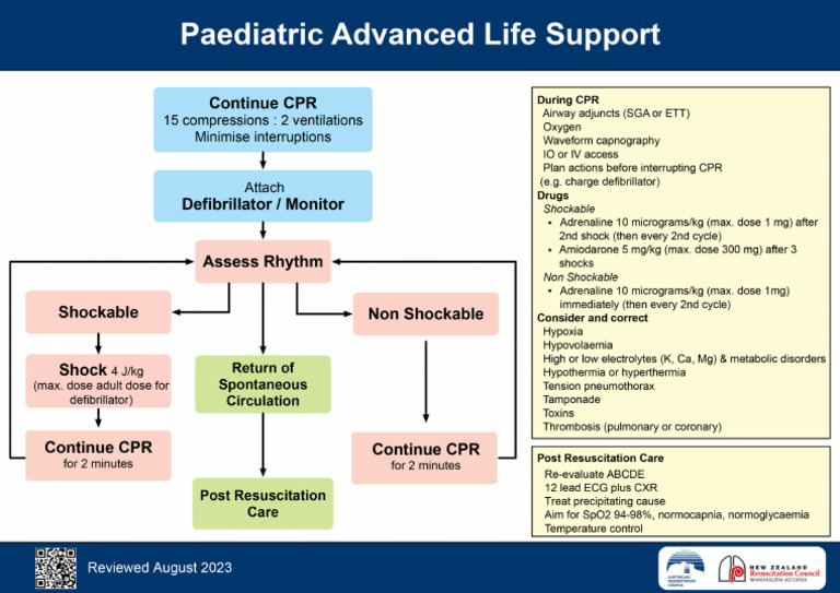 ANZCOR Algorithm PALS v2 | PDF