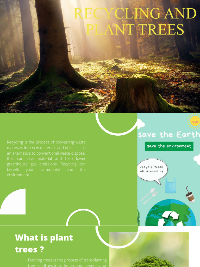 Recycling and Planting Trees | PDF | Recycling | Trees