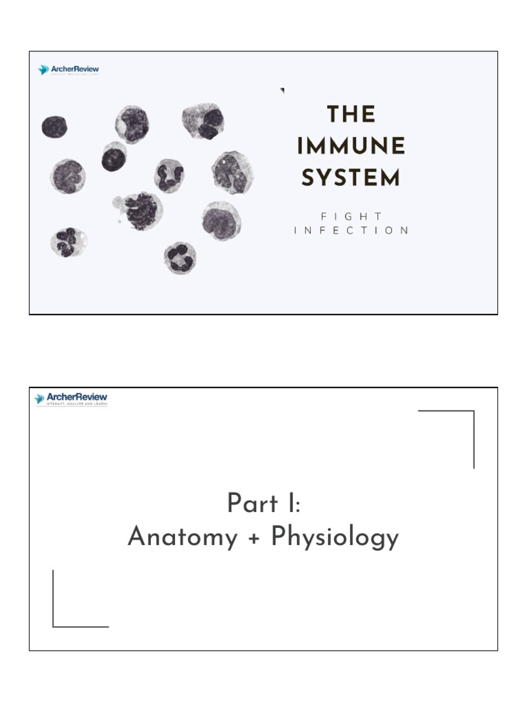 Immune System | PDF | Thyroid Stimulating Hormone | Autoimmune Disease
