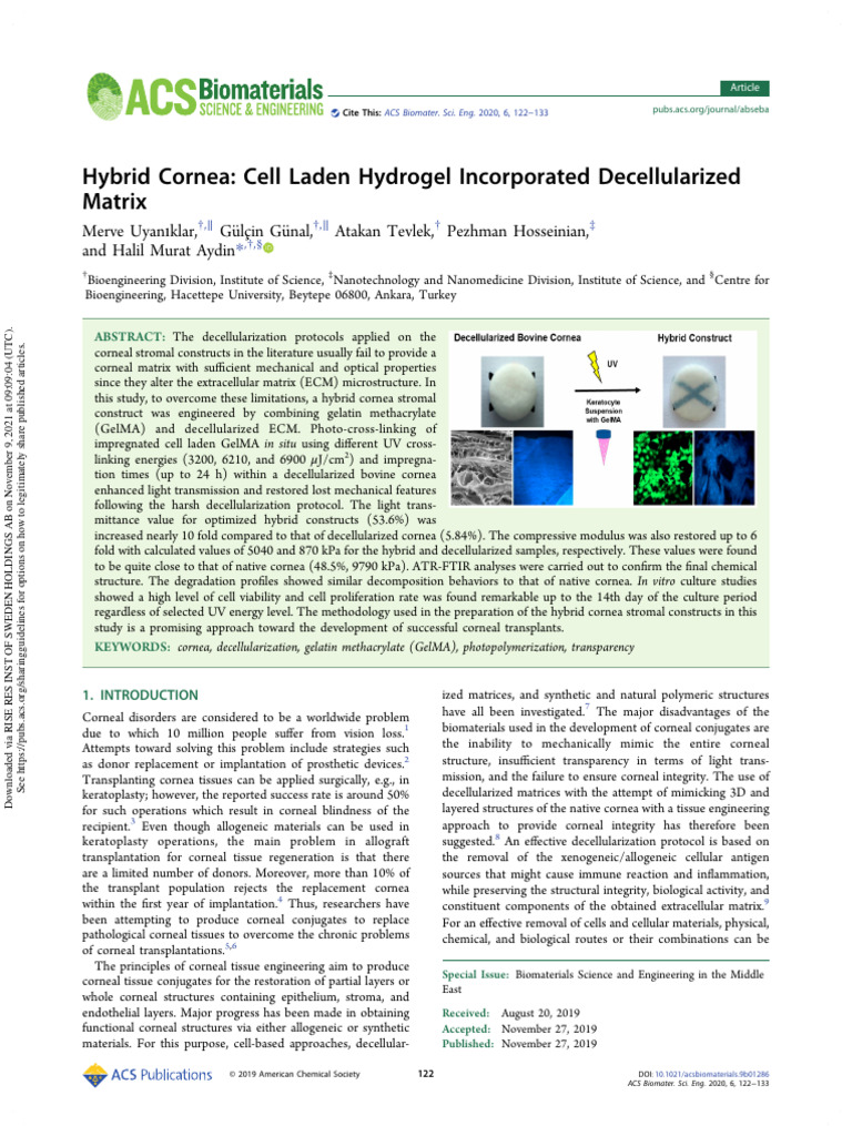 Hybrid Cornea, Cell Laden Hydrogel Incorporated Decellularized Matrix | PDF