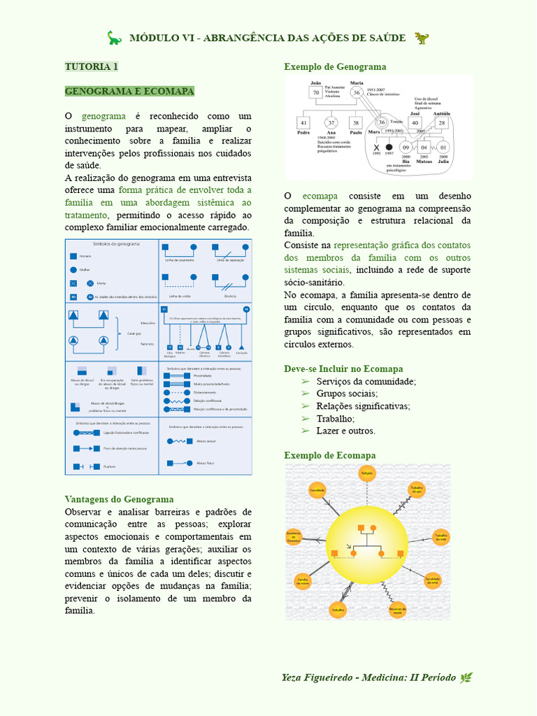 RESUMO M6 - Conceitos Do Sus | PDF | Saúde mental | Epidemiologia