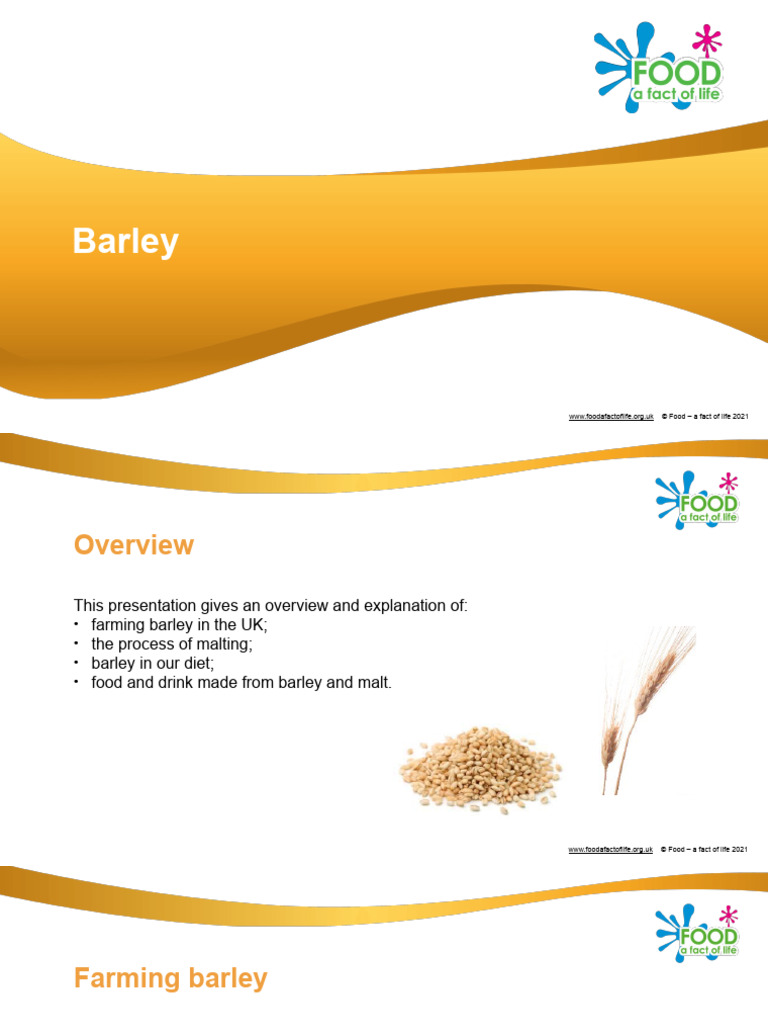 Barley PPT 1114fcc | PDF | Barley | Malt