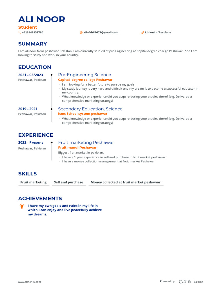 Ali Noor Resume | PDF