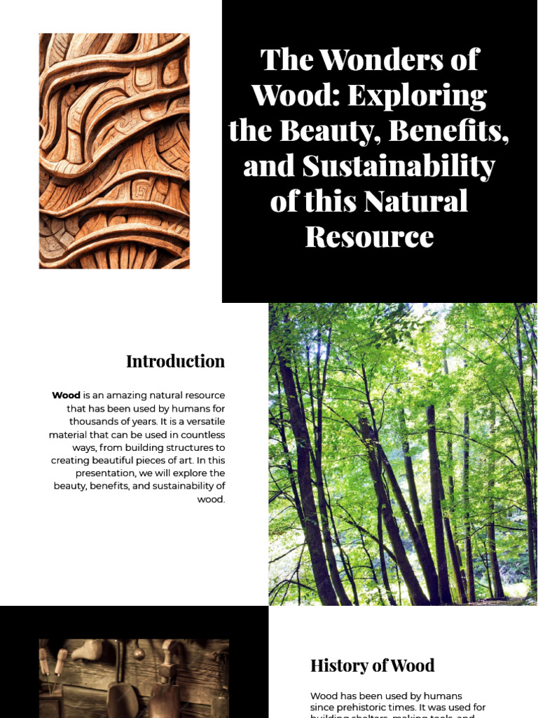 Wood's Beauty and Sustainability | PDF | Wood | Sustainability