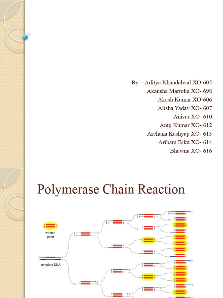 PCR Technique | PDF | Primer (Molecular Biology) | Polymerase Chain Reaction