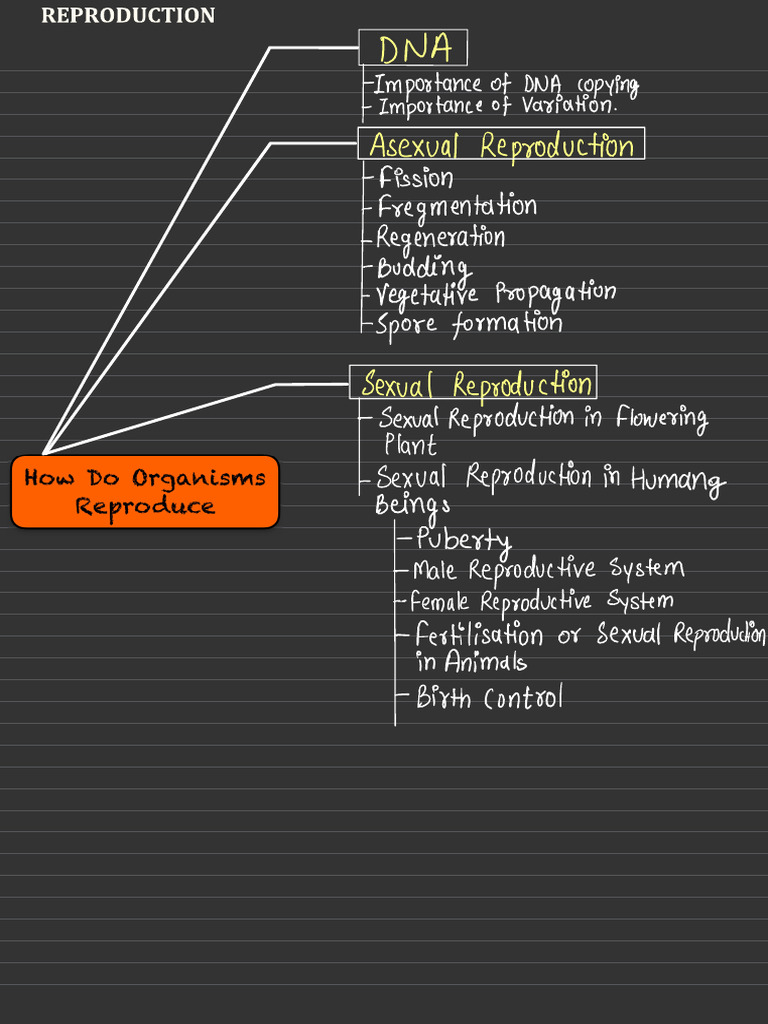 Reproduction 10 Notes | PDF