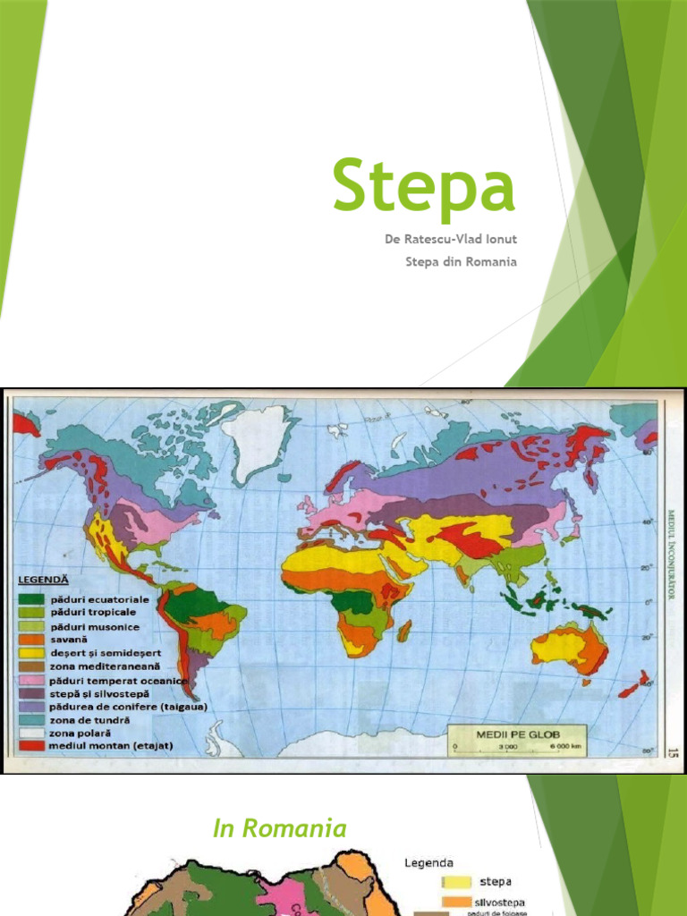 Stepa: de Ratescu-Vlad Ionut Stepa Din Romania | PDF