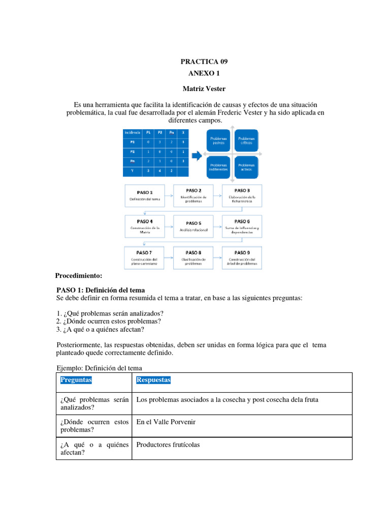 Anexo - PrÃ¡ctica 09 | PDF | Cosecha | Matriz (Matemáticas)