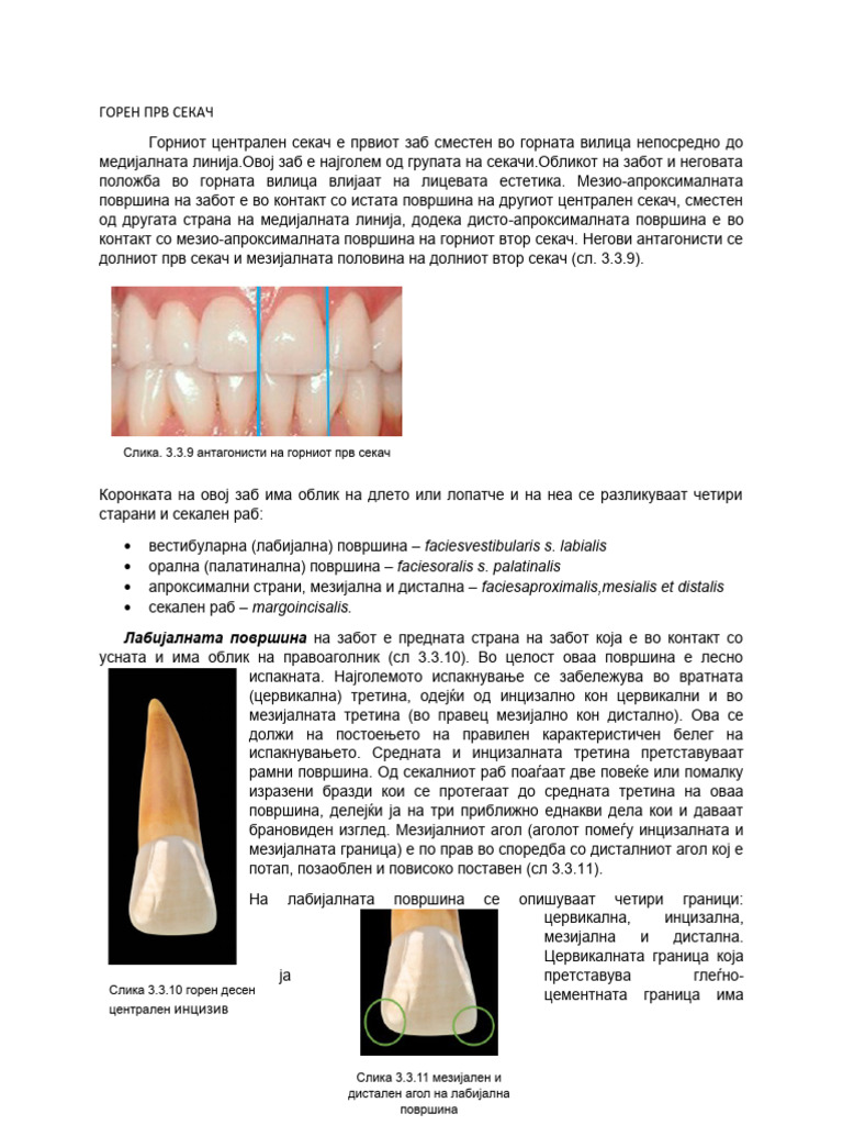 Goren PRV Sekac | PDF