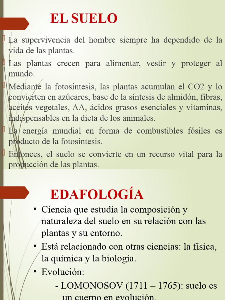 Edafología Parte I | PDF | Suelo | Roca (geología)