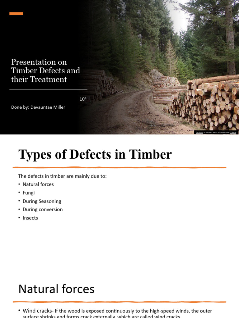 BFT Section 4 - Timber Technology (Presentation) | PDF | Wood | Lumber