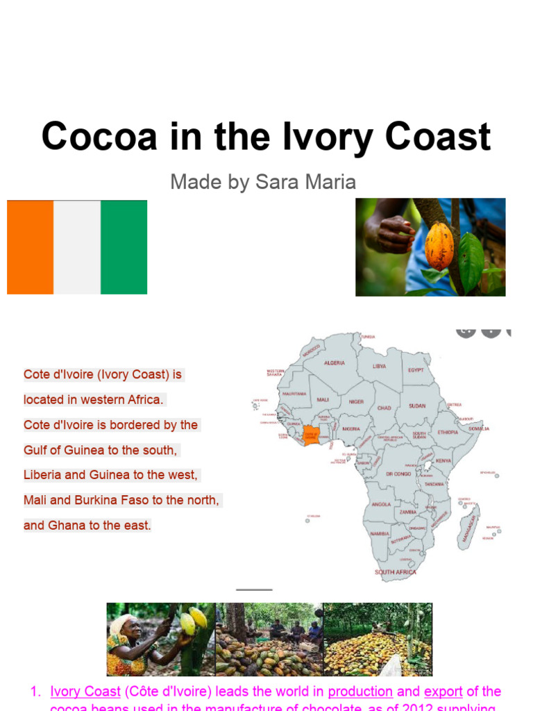 Cocoa in The Ivory Coast | PDF | Home & Garden