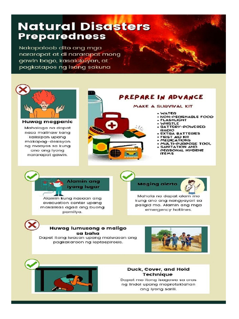 Natural Disasters Preparedness | PDF