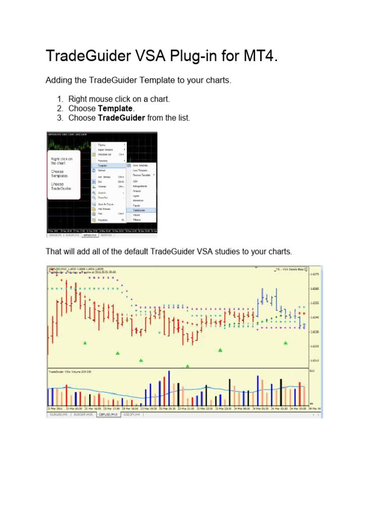 TG VSA Plug-In MT4 User Guide | PDF | Day Trading | Software