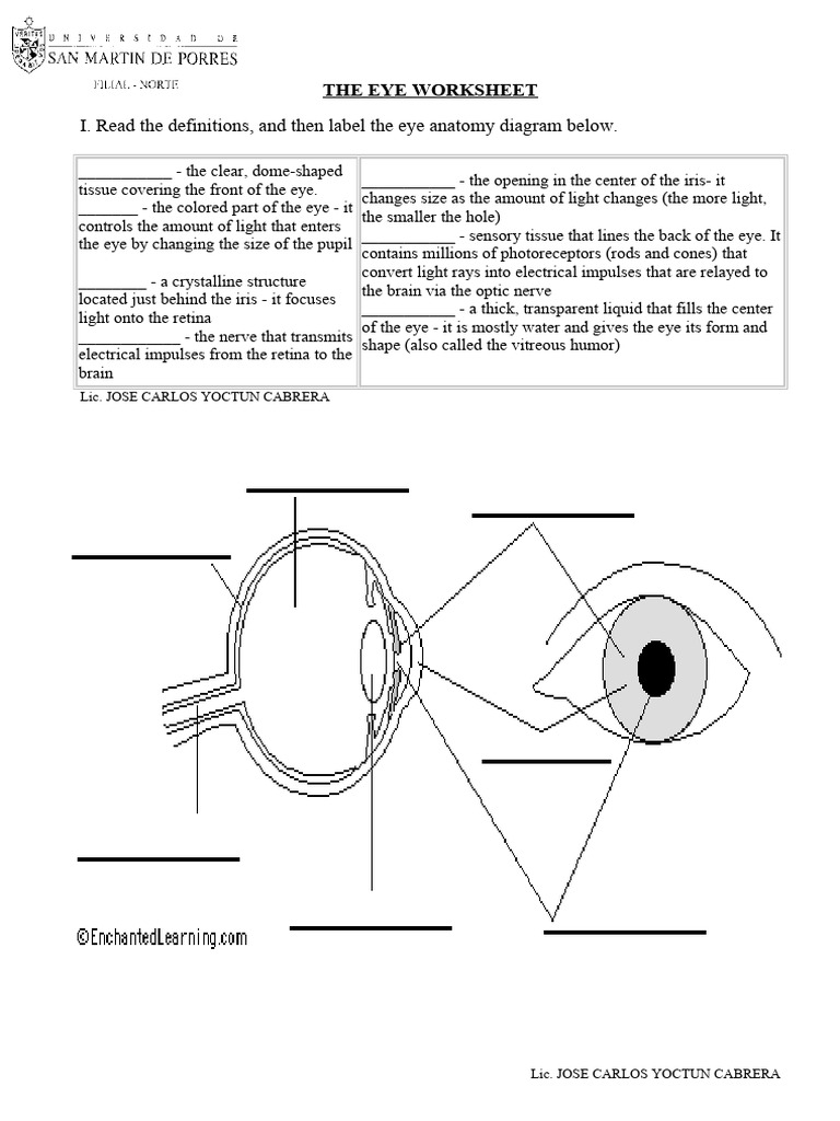 Eye Anatomy Labeling Worksheet | PDF | Eye | Retina