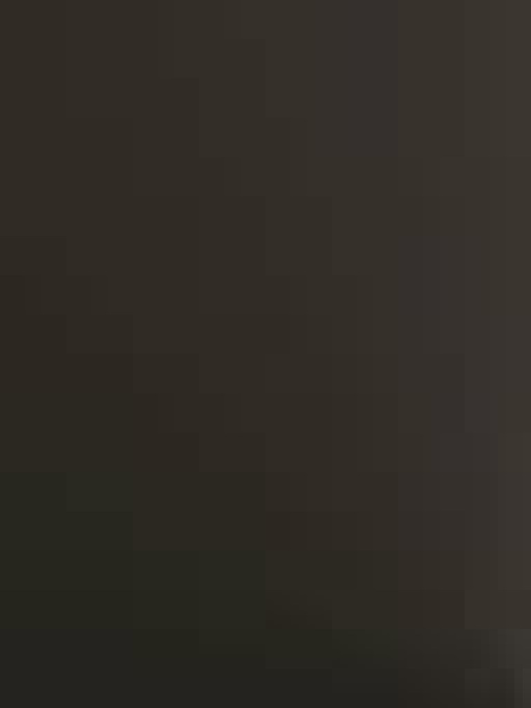 Adobe Scan 28 Jan 2024 | PDF