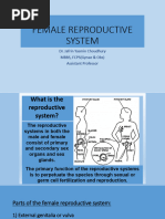 Kode ICD 10 Kasus Obsgyn | PDF | Mammal Reproductive System | Animal ...