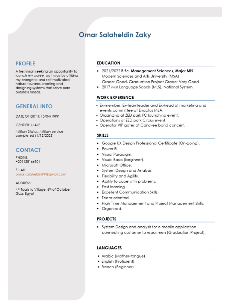 Omar Salaheldin CV | PDF