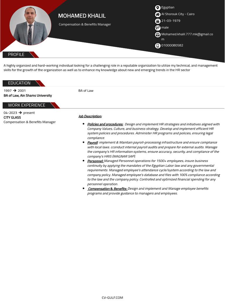 Mohamed Khalil CV PDF 2023 | PDF | Employment | Economies