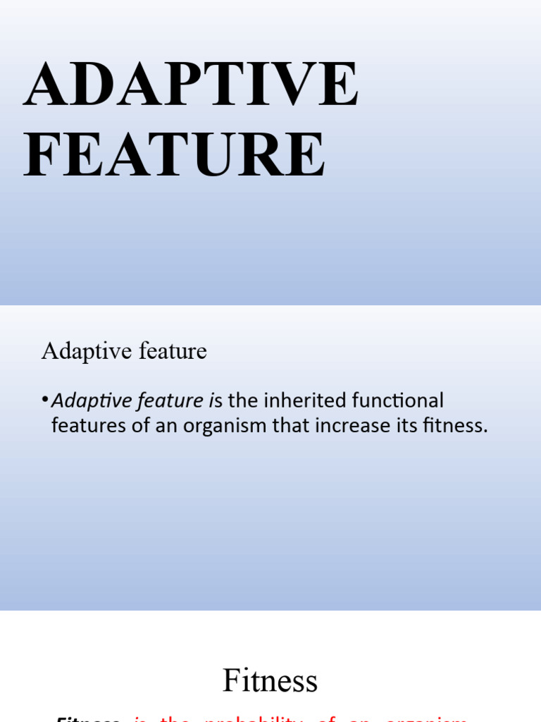 Adaptive Feature | PDF