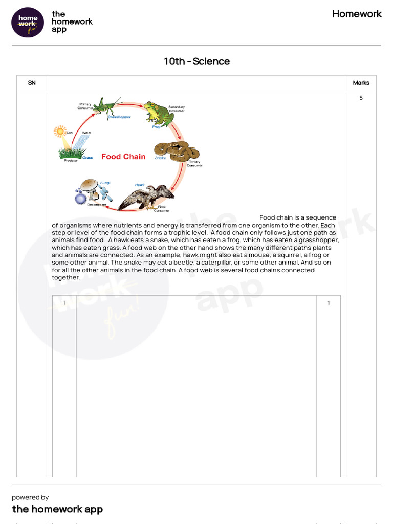 Case Study Questions on Ecosystems | PDF | Ozone Depletion | Food Web