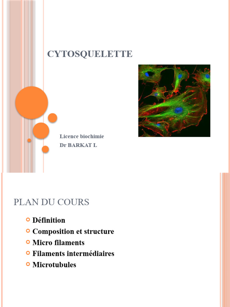 Cytosquelette | PDF | Microtubule | Actine