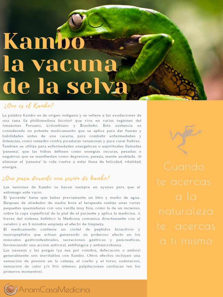 Presentazione Kambo | PDF | Trastorno depresivo mayor | Ansiedad