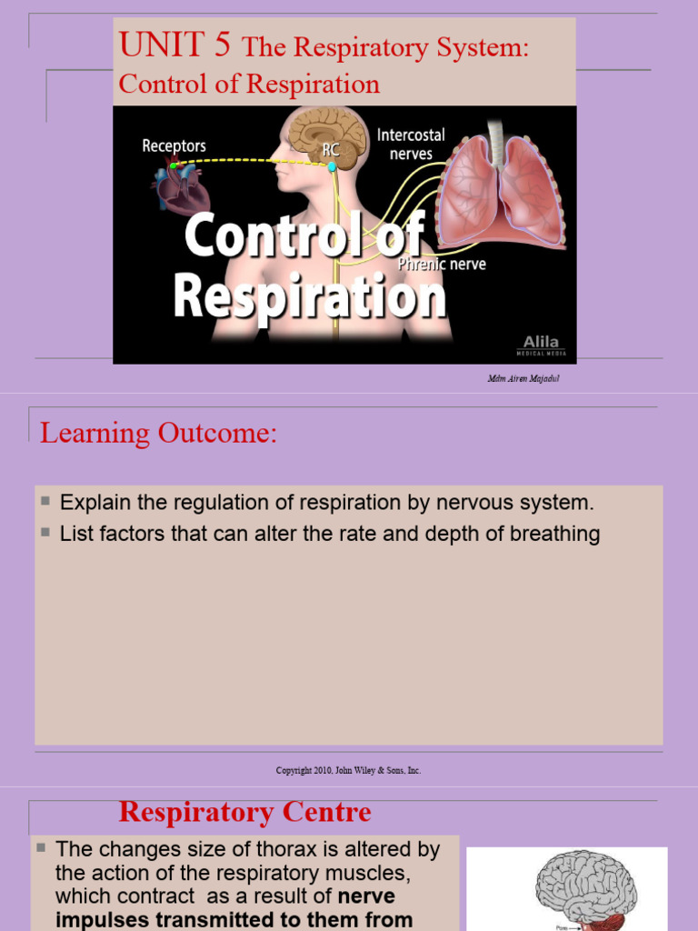 Unit 5.3 Control of Respiration | PDF | Exhalation | Physiology