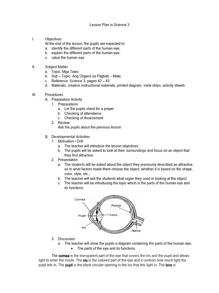 Lesson Plan in Science 3 | PDF | Eye | Human Eye