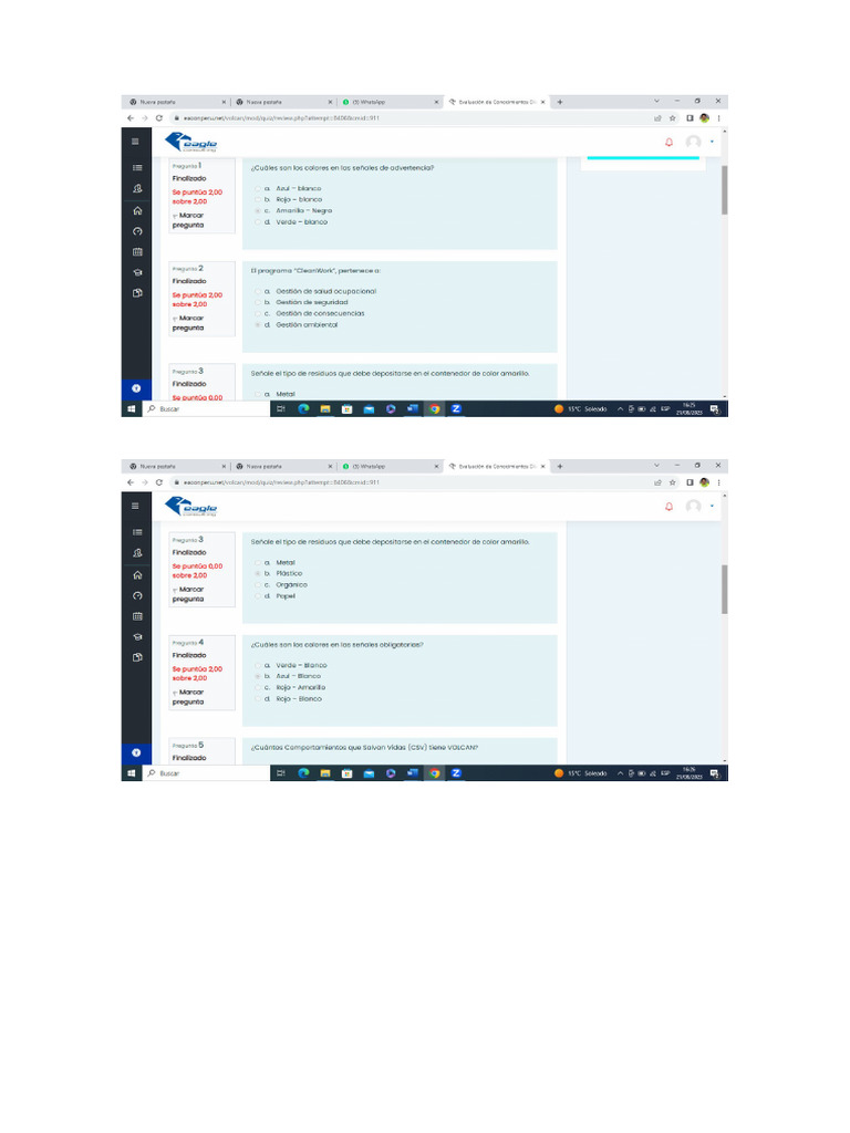 Examen Anexo 4 Volcan | PDF