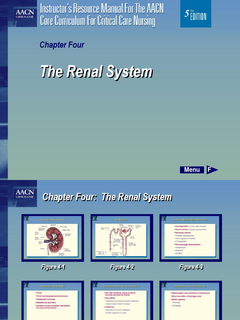 Overview of the Renal System | PDF | Wellness | Science & Mathematics
