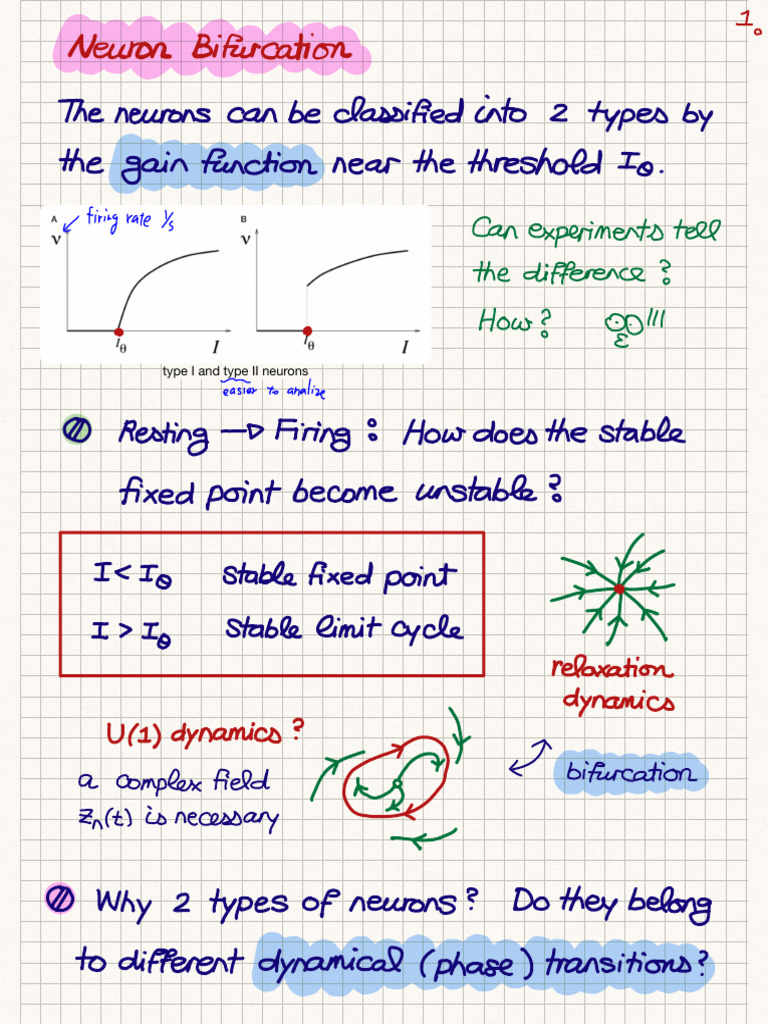 Neurophys 4 Neuron Bifurcation | PDF | Applied Mathematics | Mechanics