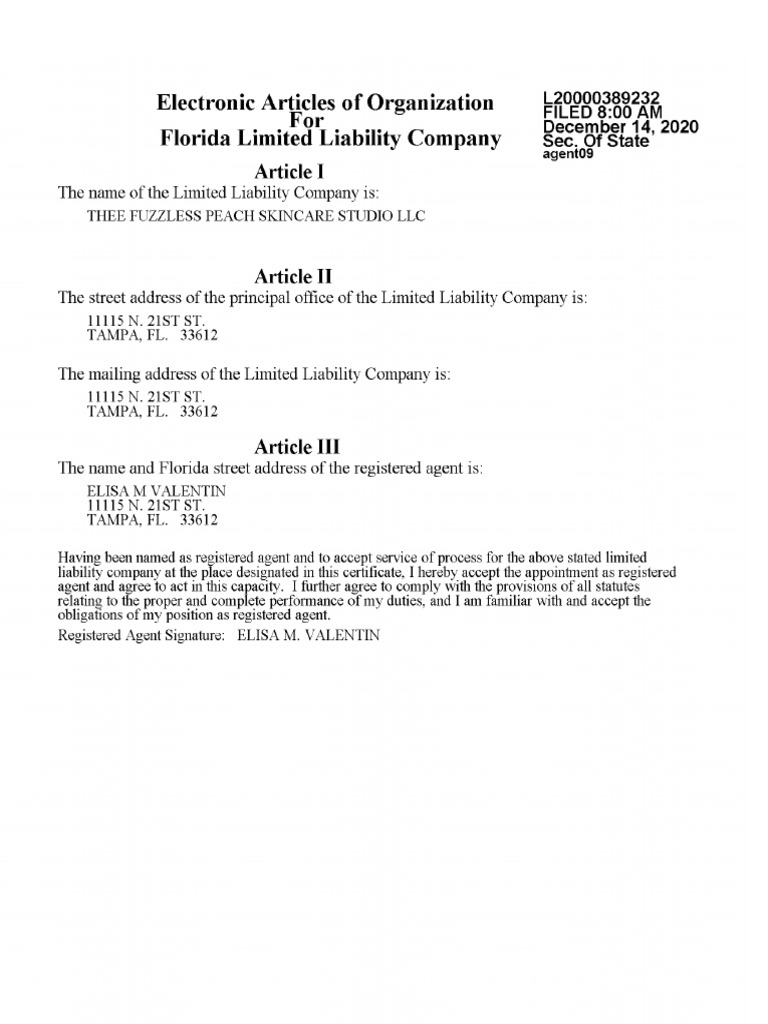 Thee Fuzzless Peach Skincare Studio LLC | PDF