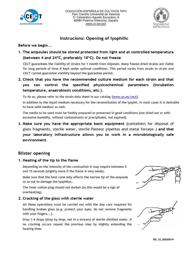 Protocol For Bacteria Handling Pdf Chemistry