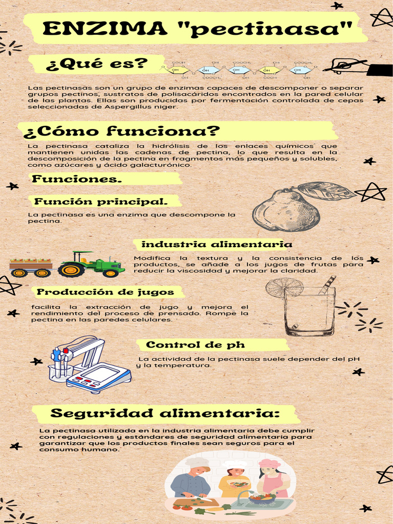 Enzima Pectinasa | PDF