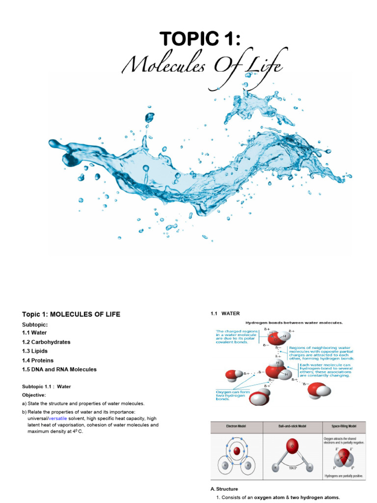 Topic 1 Molecules of Life | PDF | Triglyceride | Nucleic Acids