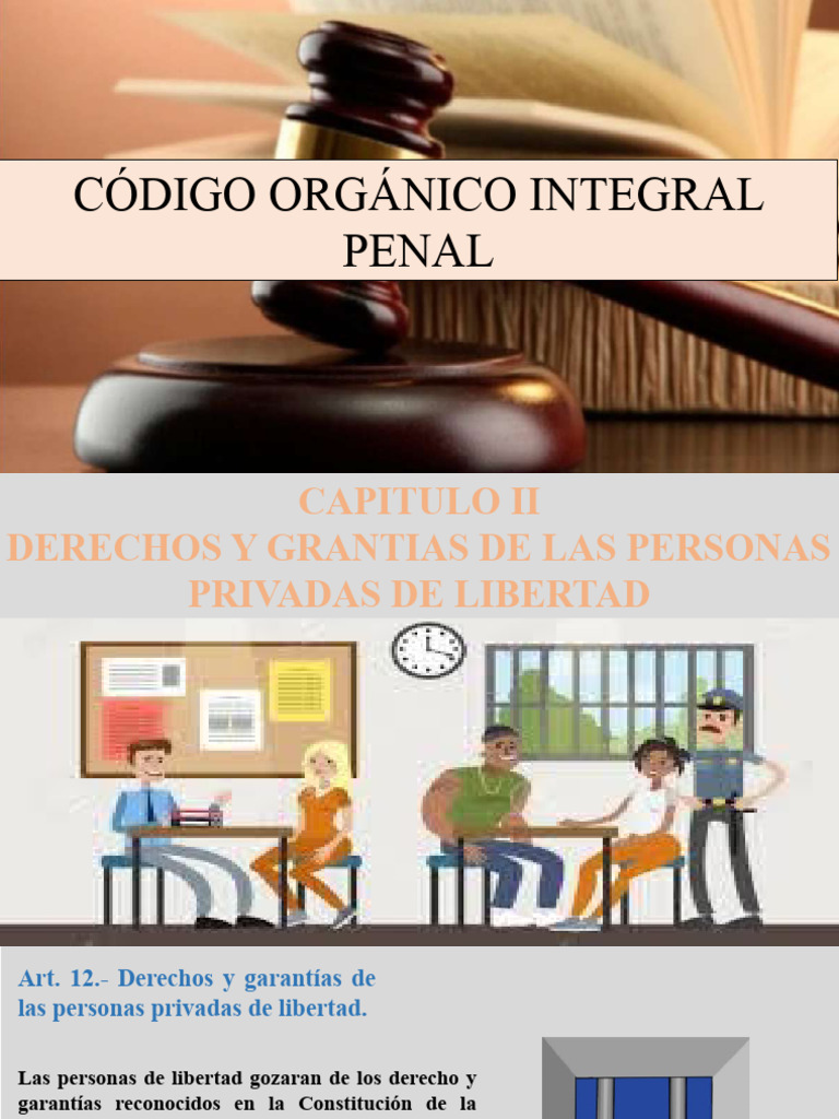 Derechos de Personas Privadas de Libertad | PDF | Ciencias sociales