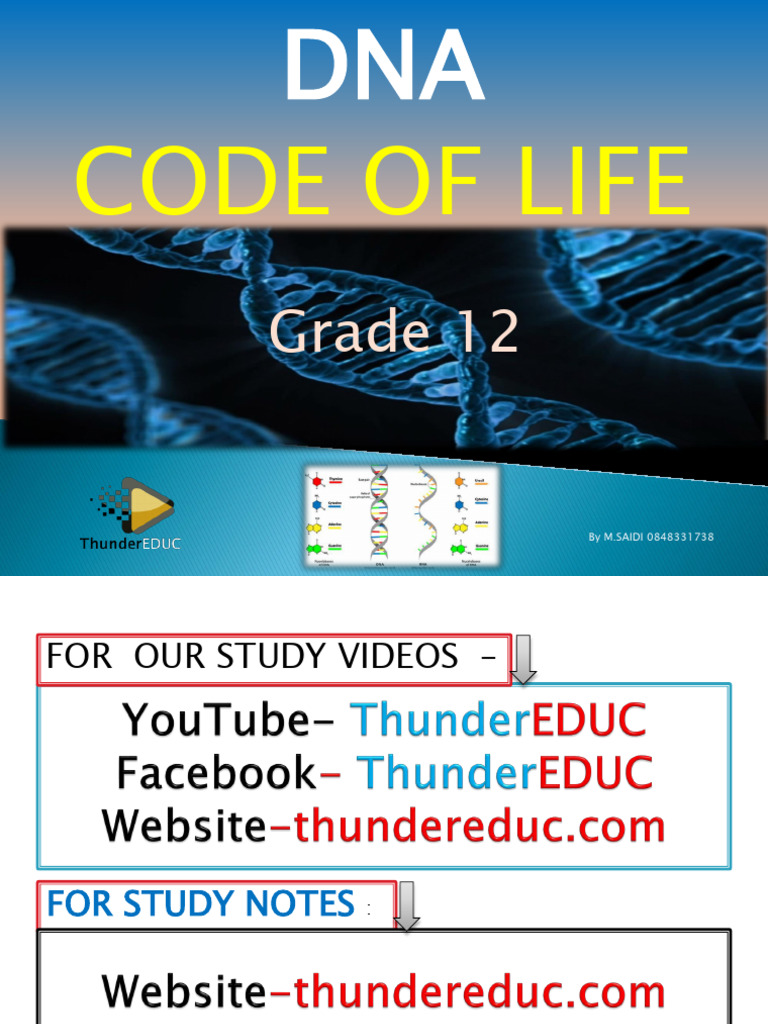 Dna Code of Life-1 | PDF | Translation (Biology) | Dna
